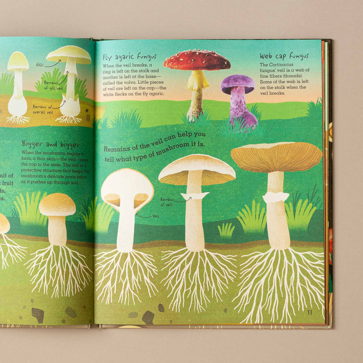 Humongous Fungus by: Lynne Boddy and illustrated by: Wenjia Tang ...